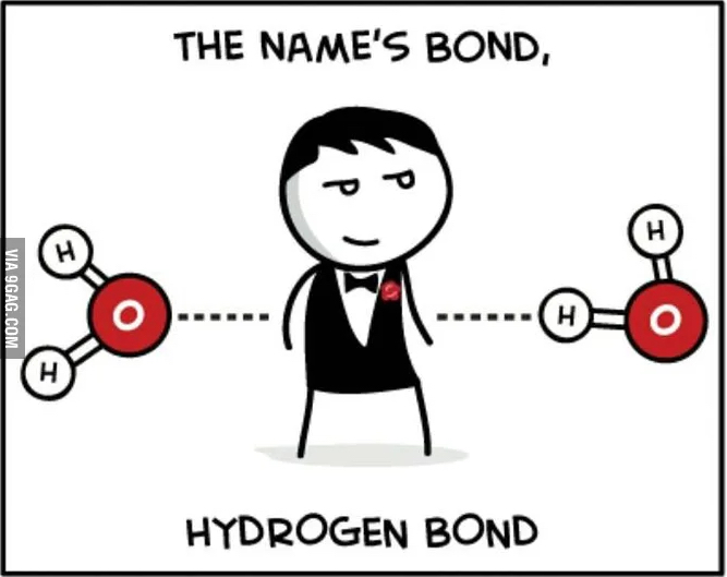 From Earth to the Cosmos: How Hydrogen Bonds Shape Life | From Atoms To ...
